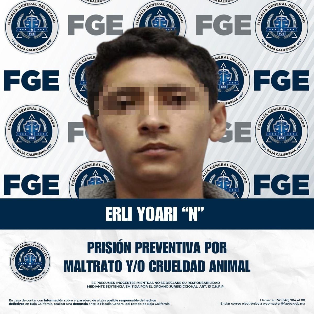 PROCESAN A SUJETRO POR DISPARAR CON RIFLE DE DIÁBOLOS CONTRA UN FELINO ...